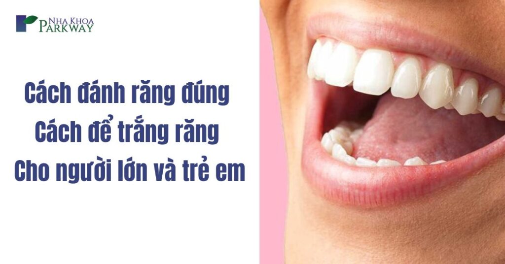 Quy trình cấy ghép implant là gì? Lưu ý gì khi làm răng implant?